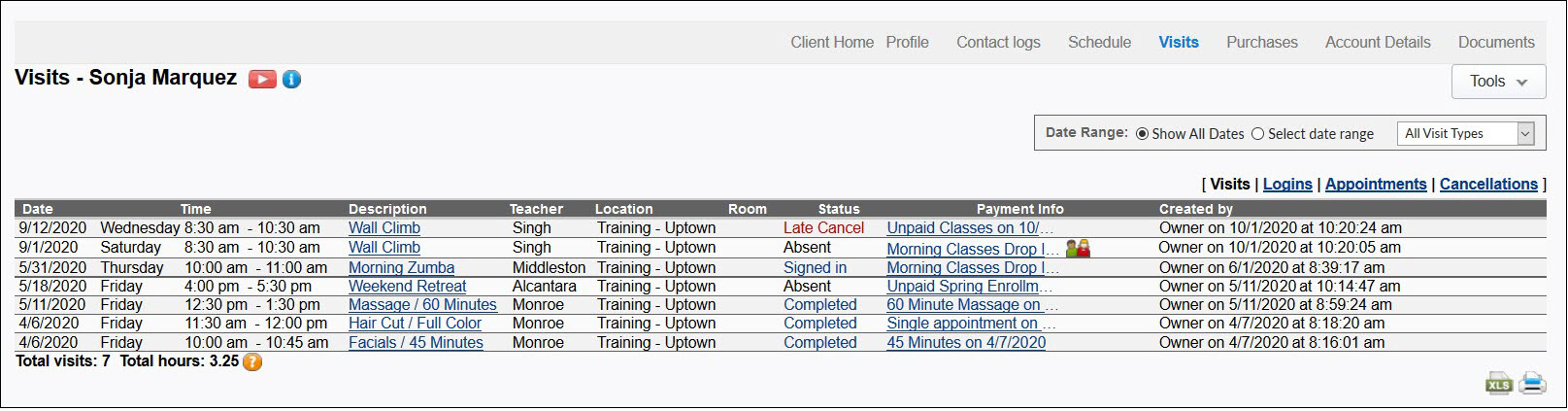 Client Visits screen - overview