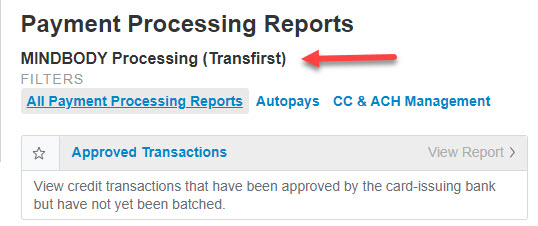 How can I view my ACH statements? (TSYS)