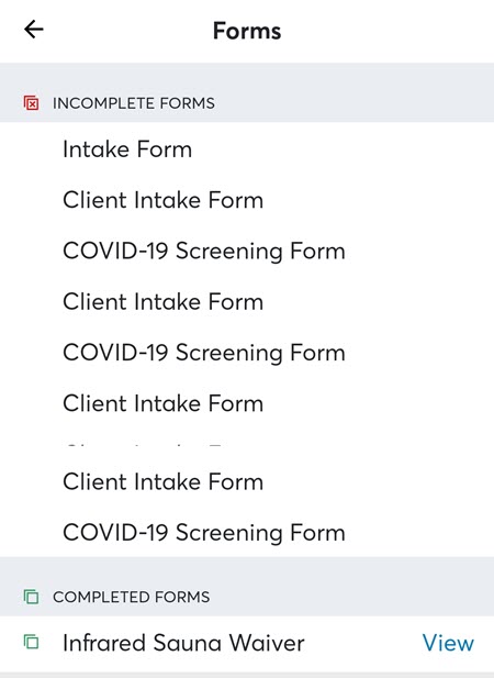 Client forms in the Booker business app - Booker