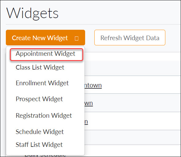 Appointment widget setup and options - branded web tools