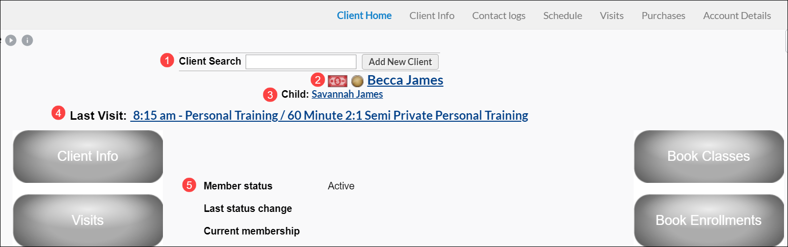 Client Home screen - overview