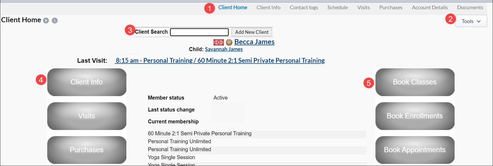Client Home screen - overview