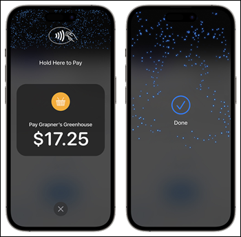How to set up and use Tap to Pay (Mindbody business app)