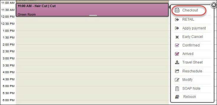Appointment Checkout options and features