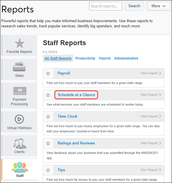 Schedule at a Glance report