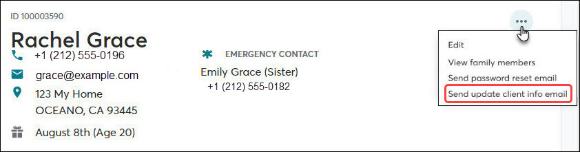 Client profile - overview experience