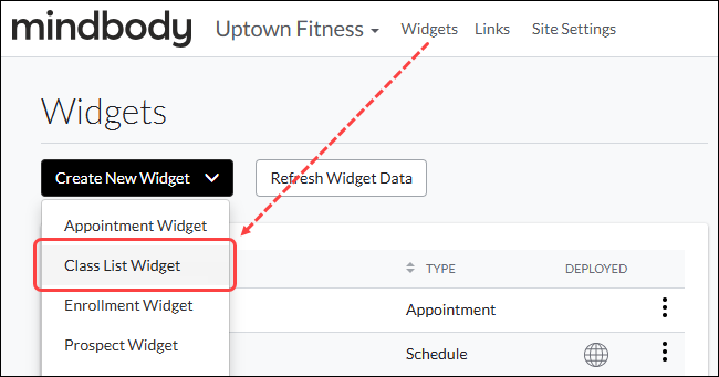 Class List widget setup and options (branded web widgets)