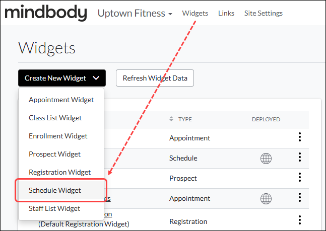New Schedule widget v2 setup and options (branded web widgets)