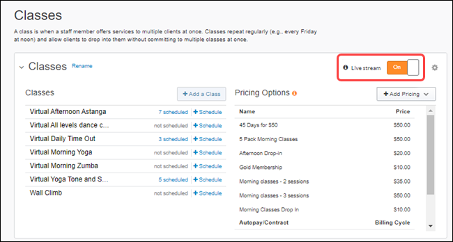 How to set up, schedule, and create pricing options (livestream)